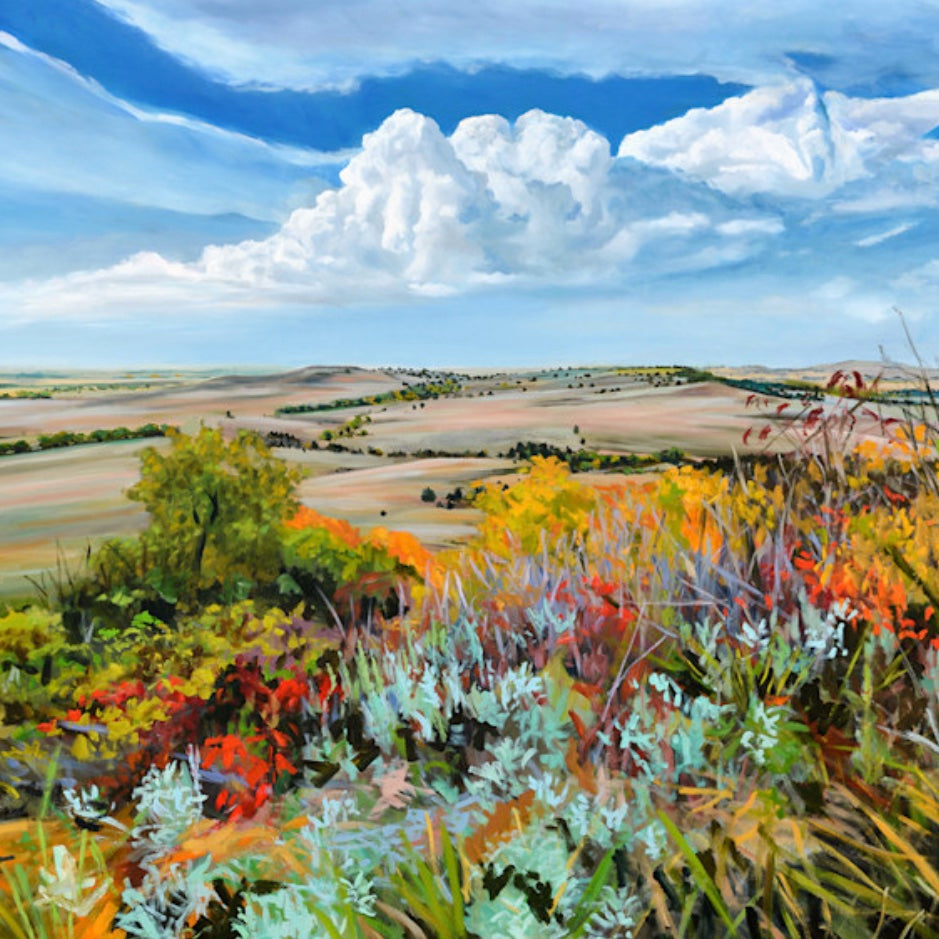 Brian Timmer – Phoenix Gallery