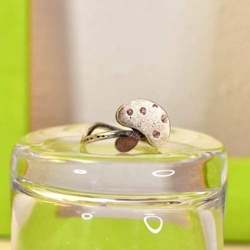 Chloeography - Ring - Magic Mushroom (Mixed Metal) #SHMRG-MIX – Phoenix ...